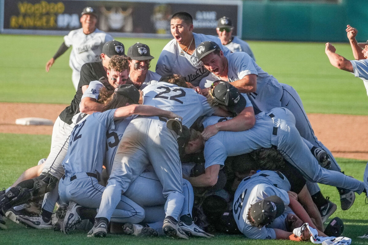 Hungry Wolverines: UVU baseball on the rise under Rasmussen | News ...